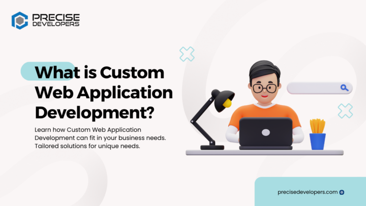 What is Custom Web Application Development?